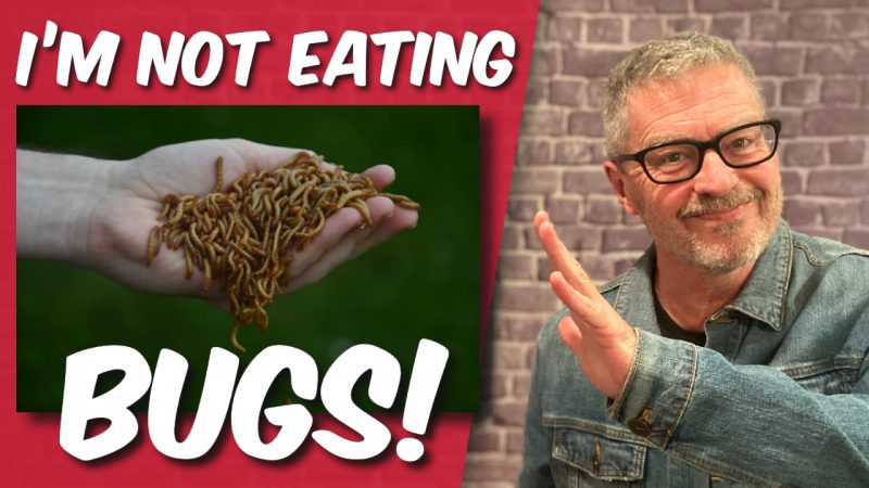 I'm Not Eating Bugs - The Loftus Party