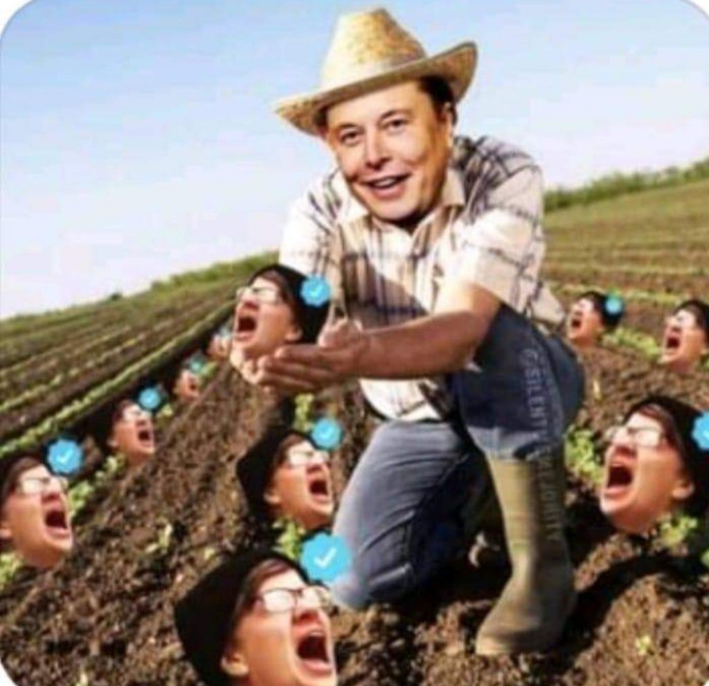 Musk Memes Make Maniacs Mad - The Loftus Party